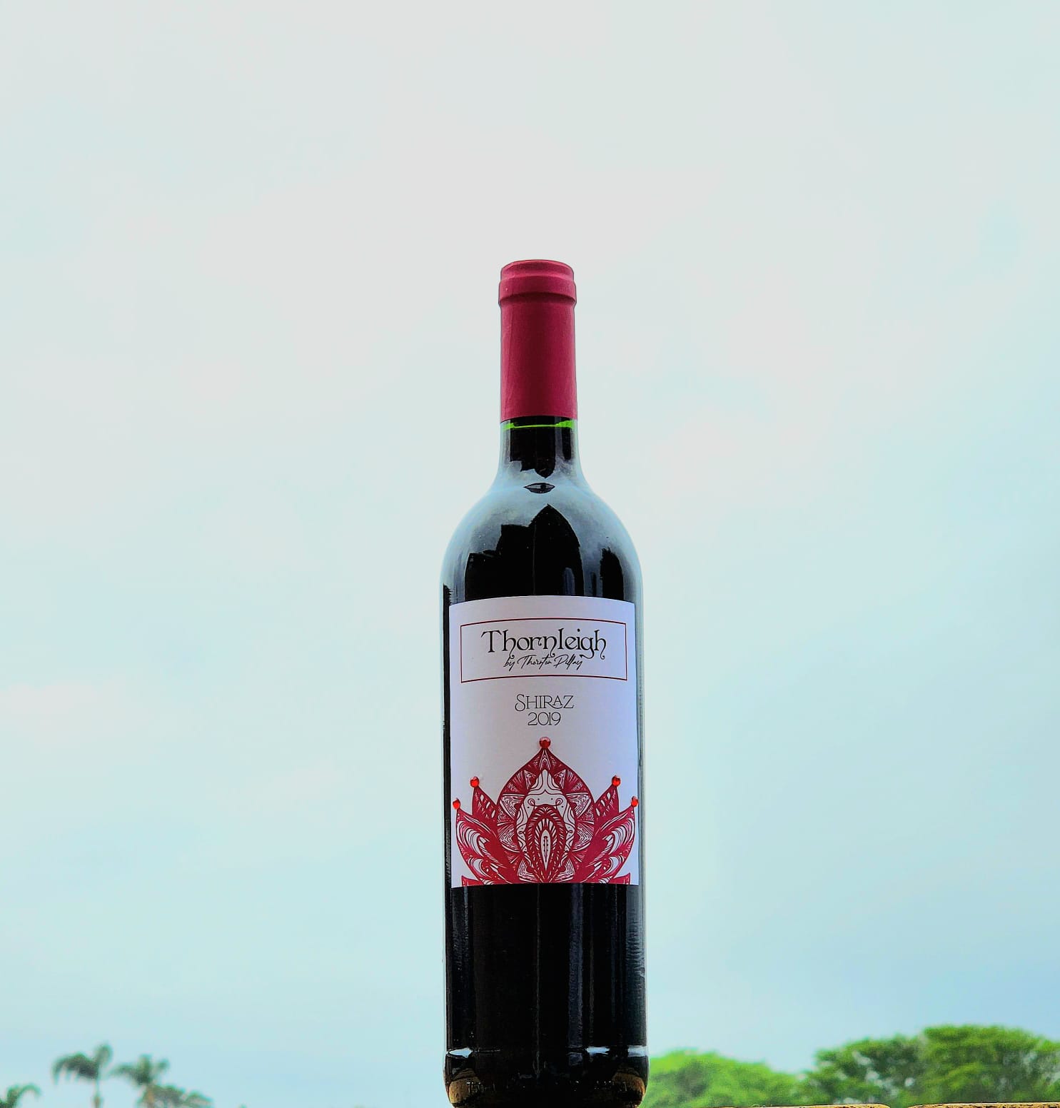 Shiraz – thornton wines